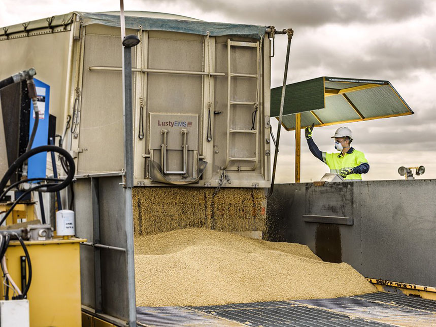 SA justifies grain logistics probe as farmers back it | News