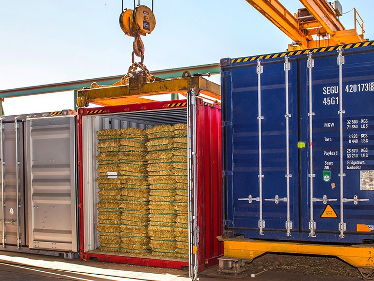 Qube Ultima Intermodal Terminal sees official opening | News