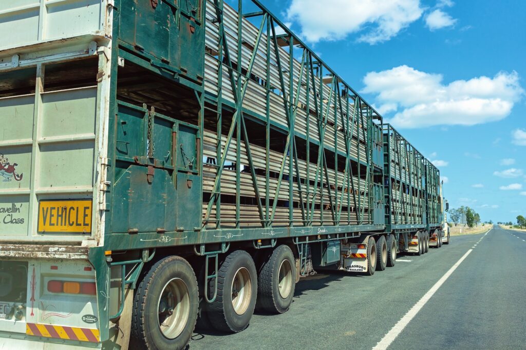 Keep the Sheep to kick off Federal Election campaign - Fully Loaded