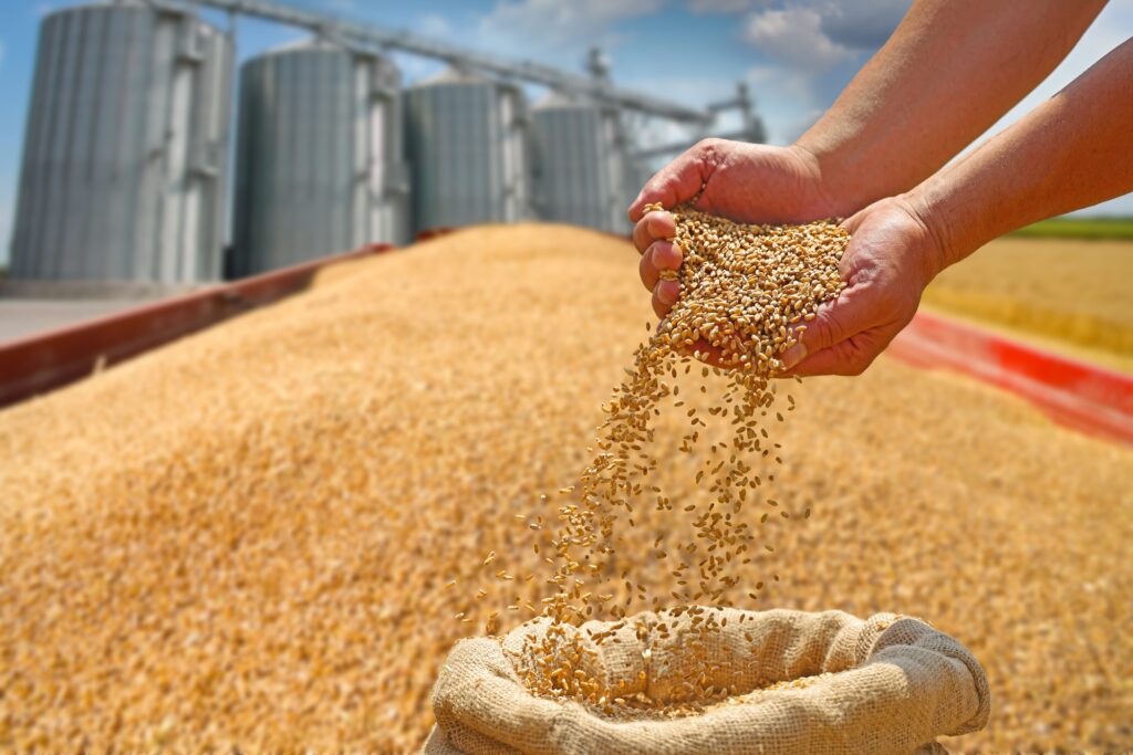 Shoring up the grain supply chain - Fully Loaded