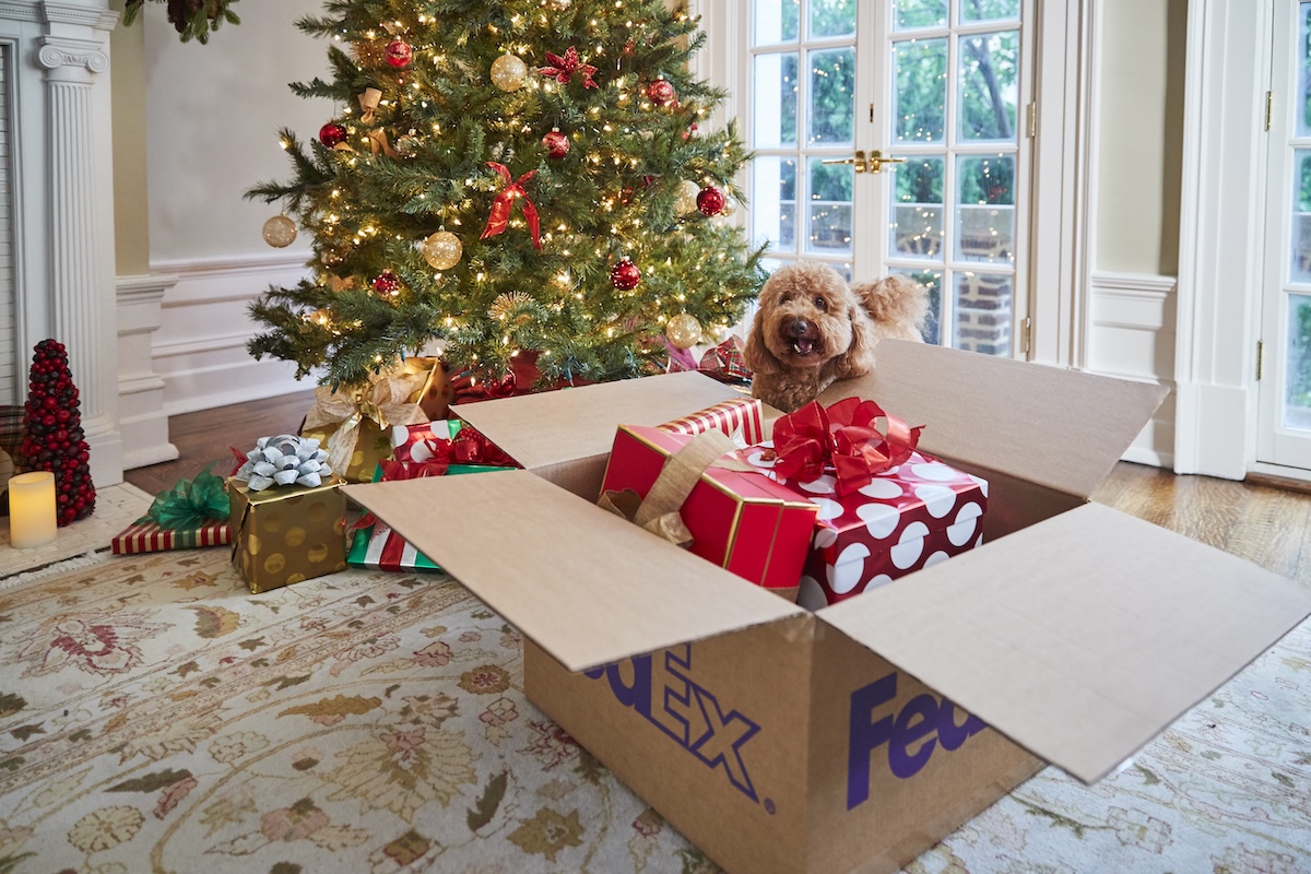 FedEx releases its final shipping deadlines for Christmas 2025 - Fully ...